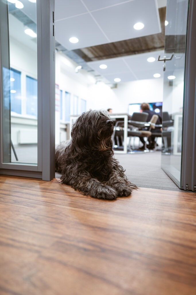 About – Fluortubing